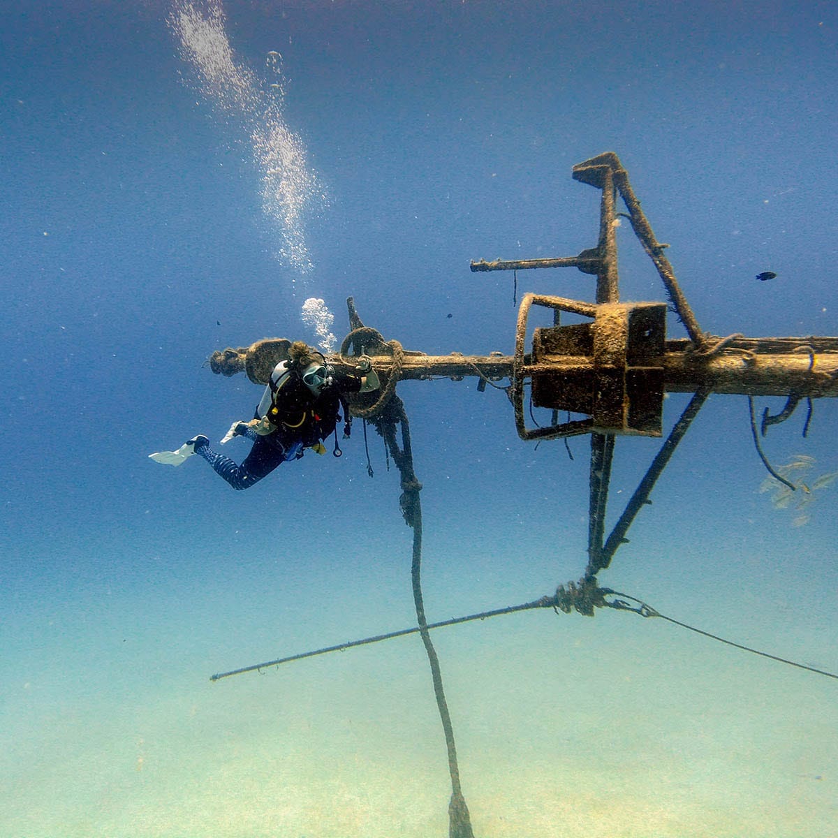 Why & How to get your Advanced Open Water | The Very Hungry Mermaid