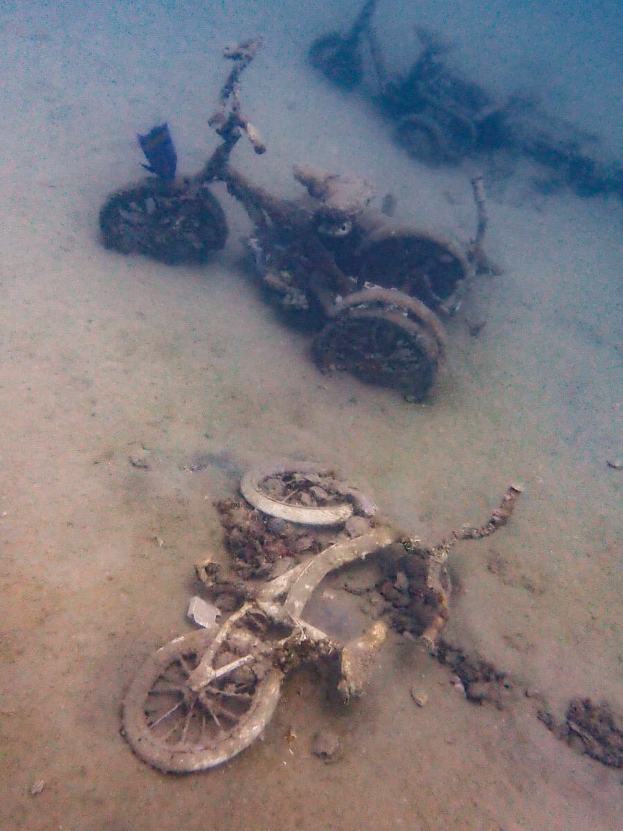 A Guide to Scuba Diving in Doha, Qatar. | The Very Hungry Mermaid