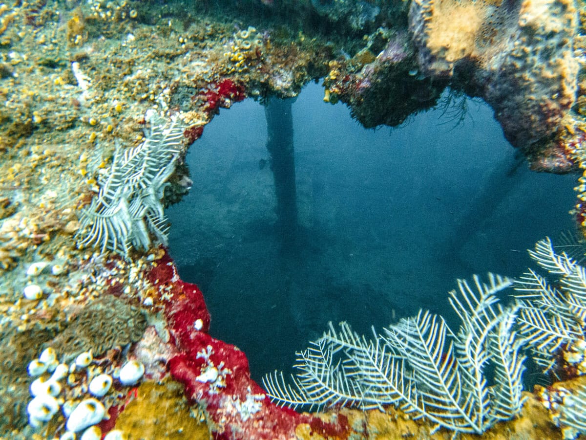 The ultimate Guide to Diving in Tulamben, Bali. | The Very Hungry Mermaid