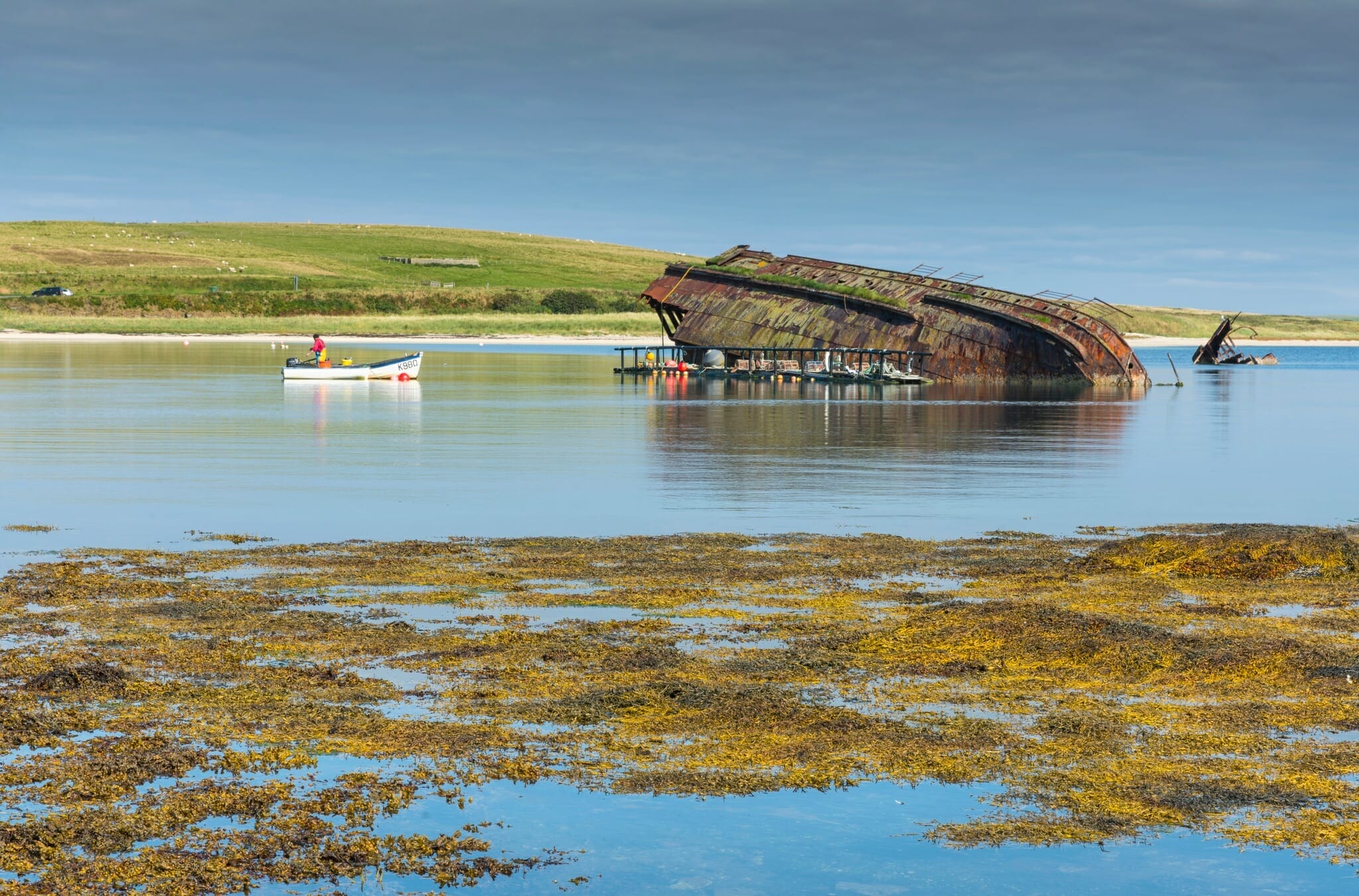The Ultimate Guide to Diving in Scapa Flow, Orkney. | The Very Hungry ...