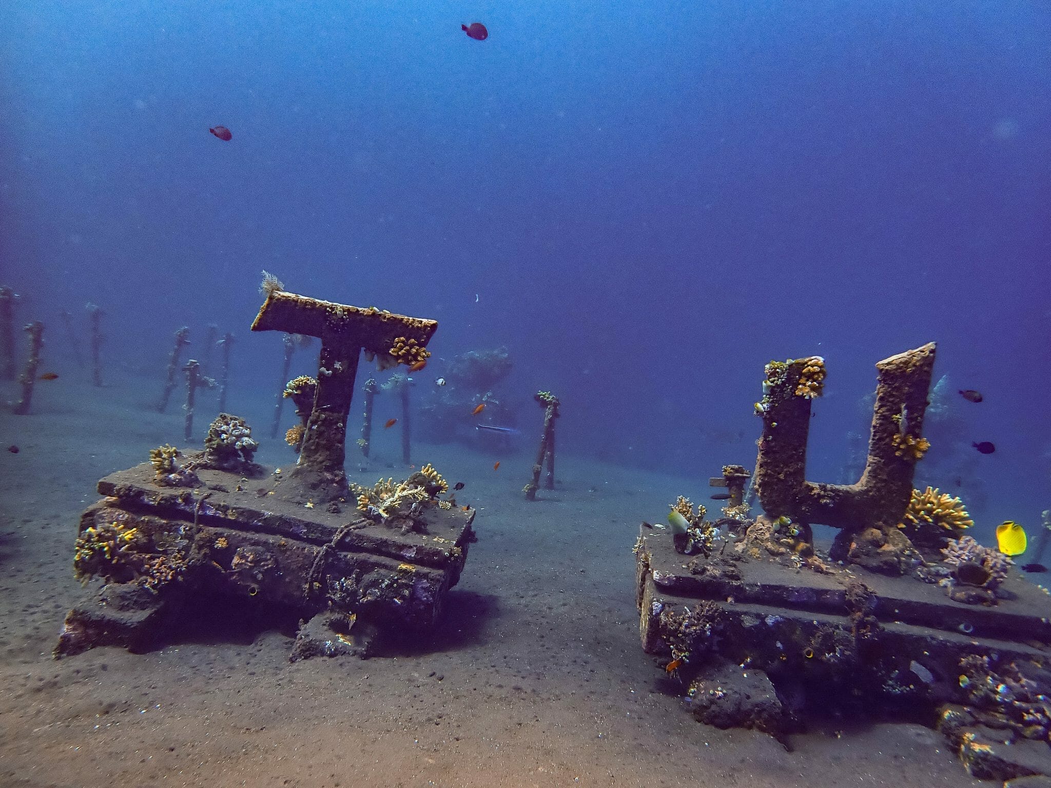 The ultimate Guide to Diving in Tulamben, Bali. | The Very Hungry Mermaid