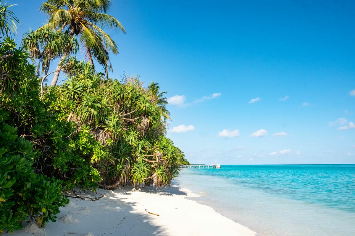 The ultimate Guide to Diving in Fulhadhoo, Maldives | The Very Hungry ...