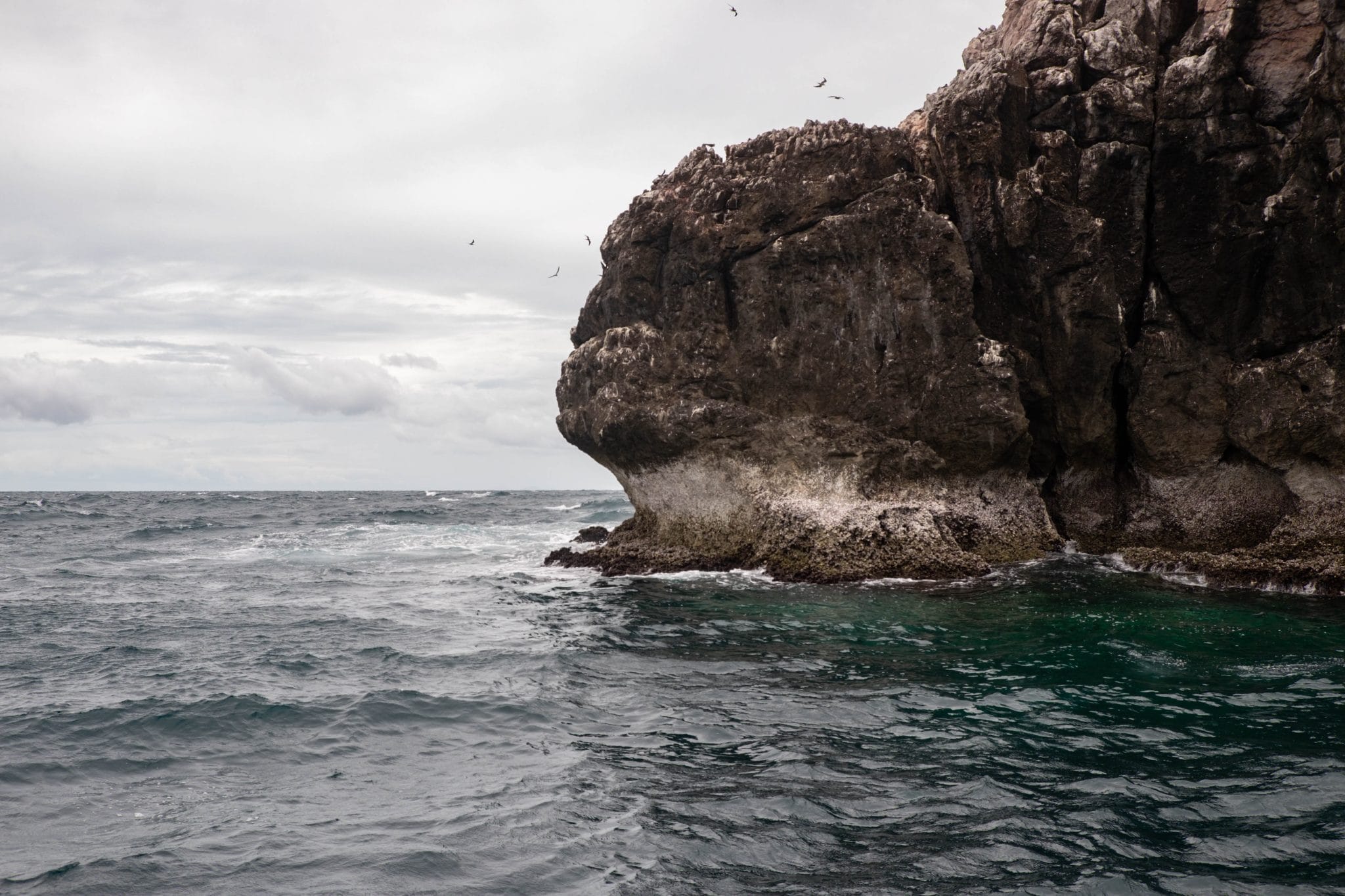 A Guide to Diving in Koh Samui, Thailand. | The Very Hungry Mermaid