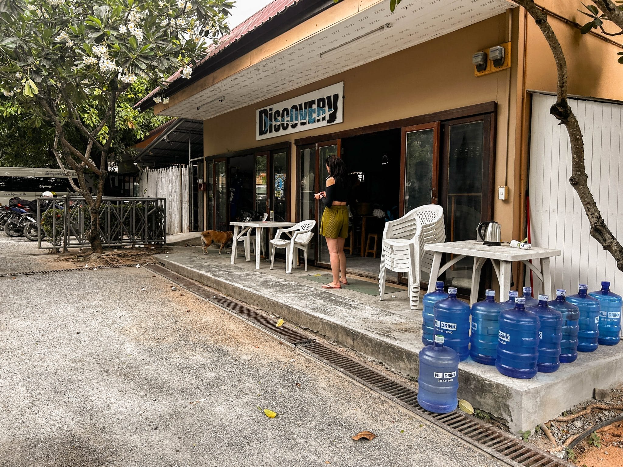 A Guide to Diving in Koh Samui, Thailand. | The Very Hungry Mermaid