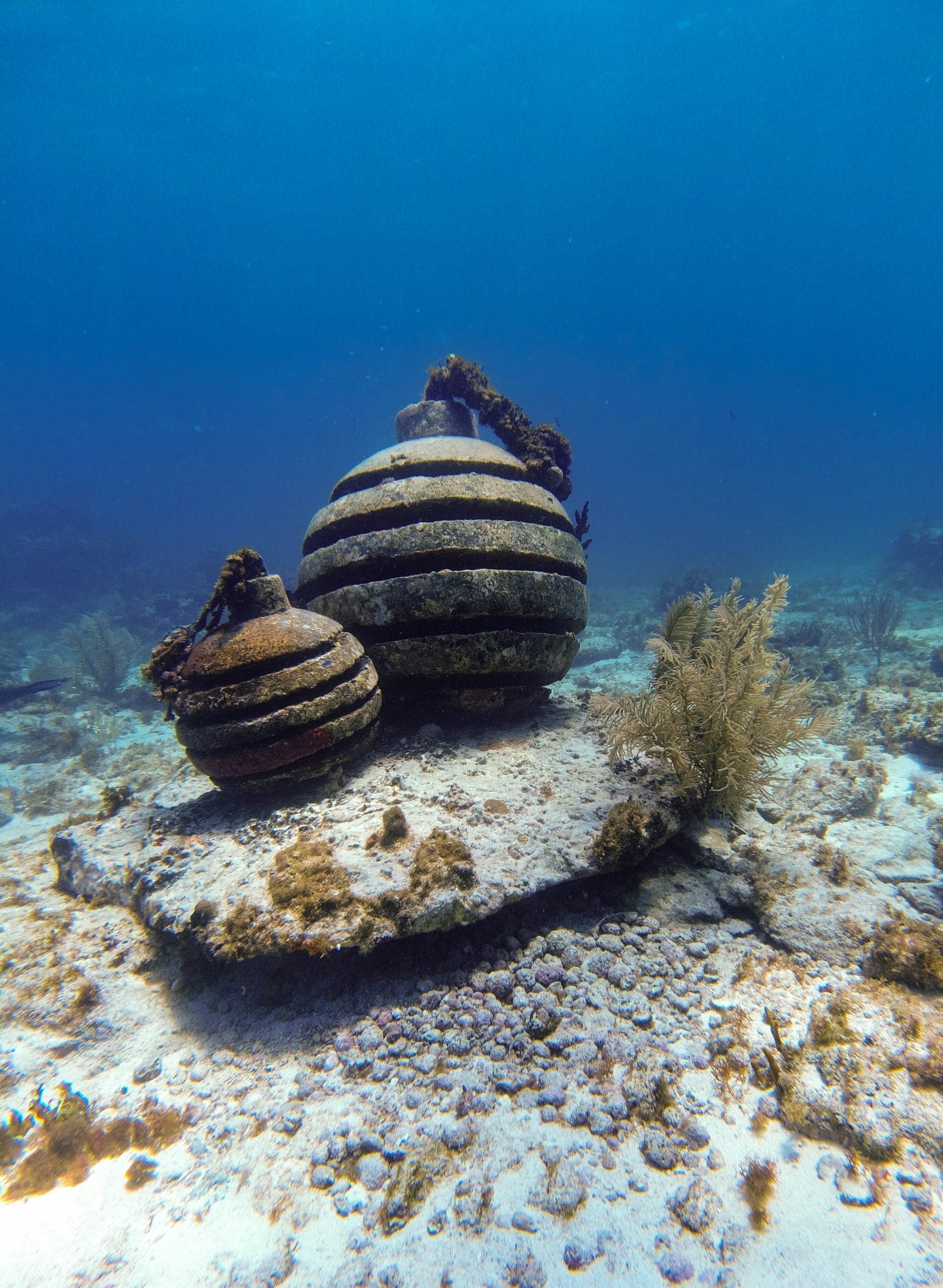 The Ultimate Guide to Diving Isla Mujeres, Mexico. | The Very Hungry ...